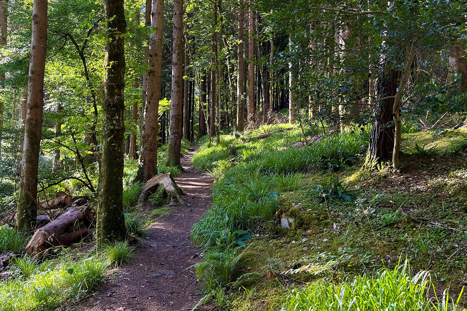 11. Dooney Rock - Yeats Trail