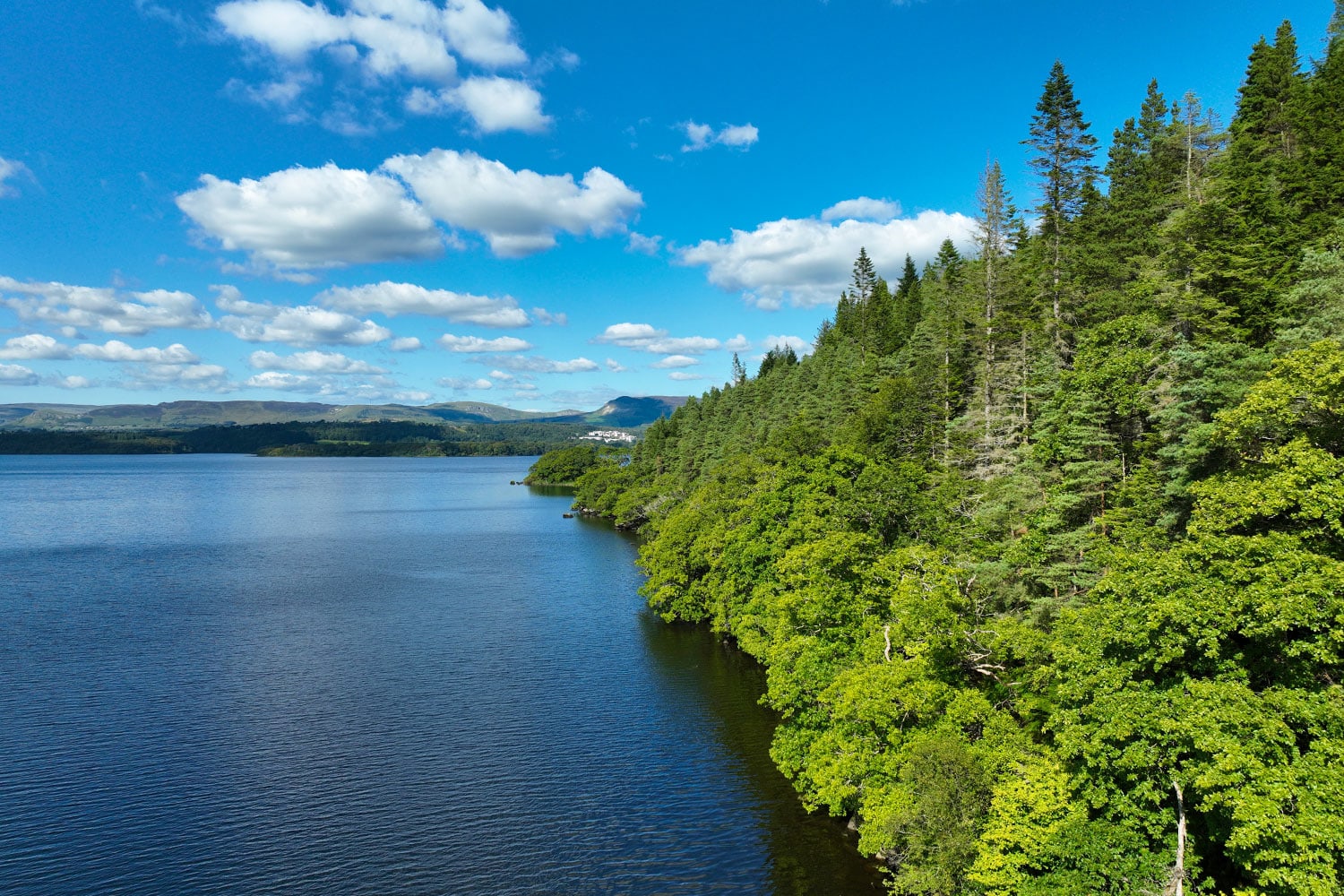 10. Slish Wood - Yeats Trail